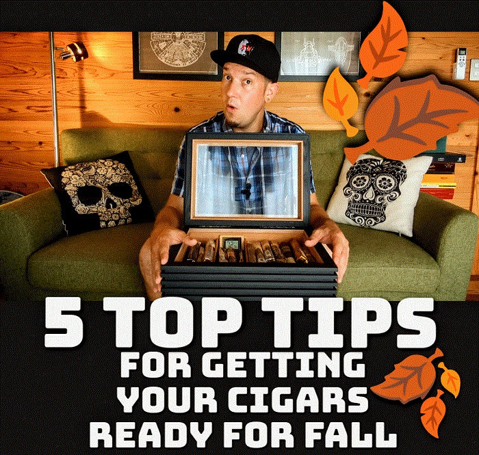 3 Minute Deep Dive: How to Prep Your Cigar Humidor for Autumn – Klaro ...