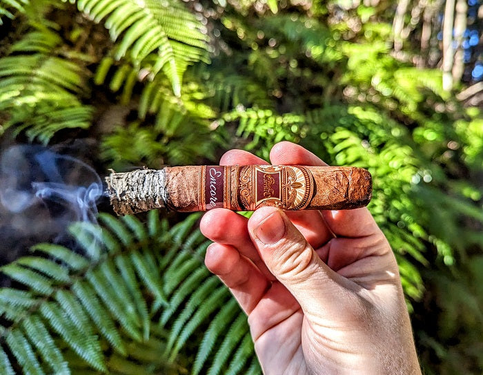Palm Bark and Orange Peels EP Carrillo "Encore" Box-Press Cigar Review ...
