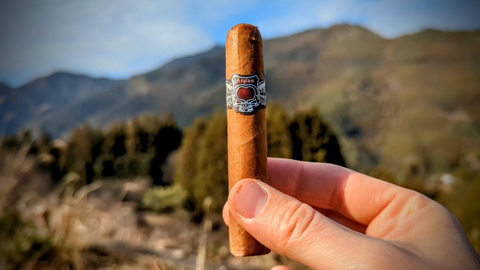 C.L.E. "Asylum Premium" Review: 2012 Vintage Short Cigar Rockstar ...