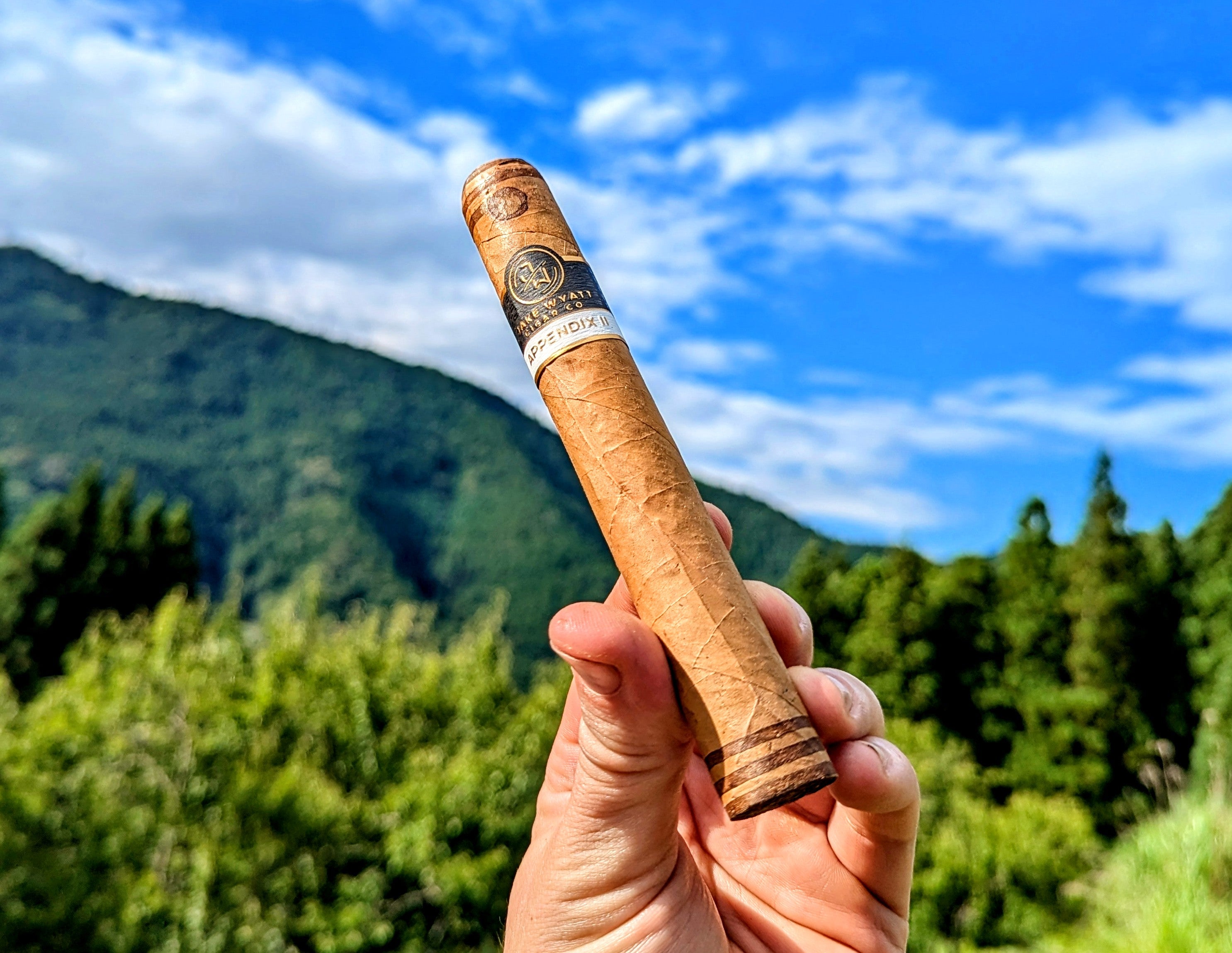 Jake Wyatt "Appendix II" Review When a Basic Barber Pole Just Won't Do ...