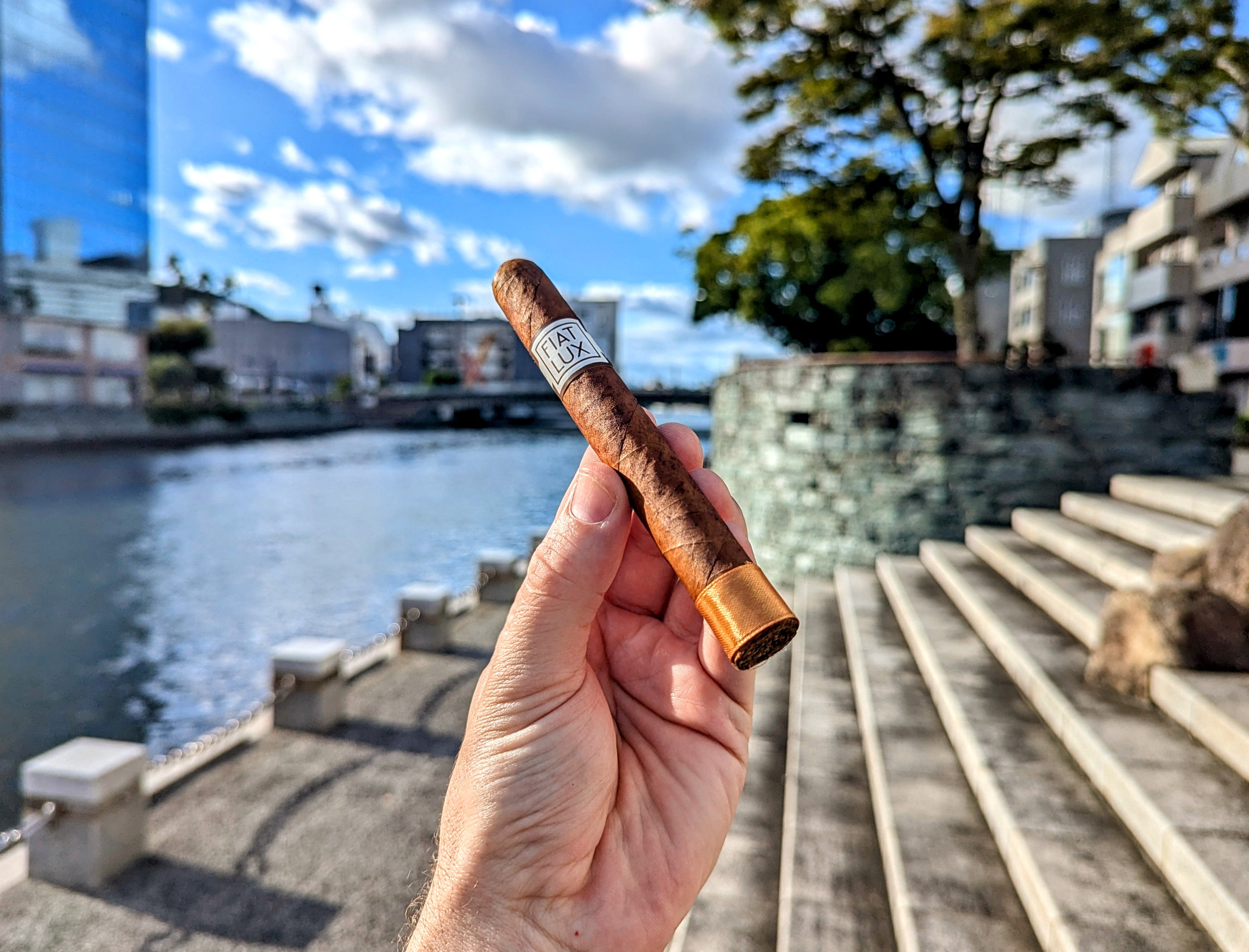 Luciano "Fiat Lux" Review: A Sexy Sumatran Cigar Wrapped in Satin ...