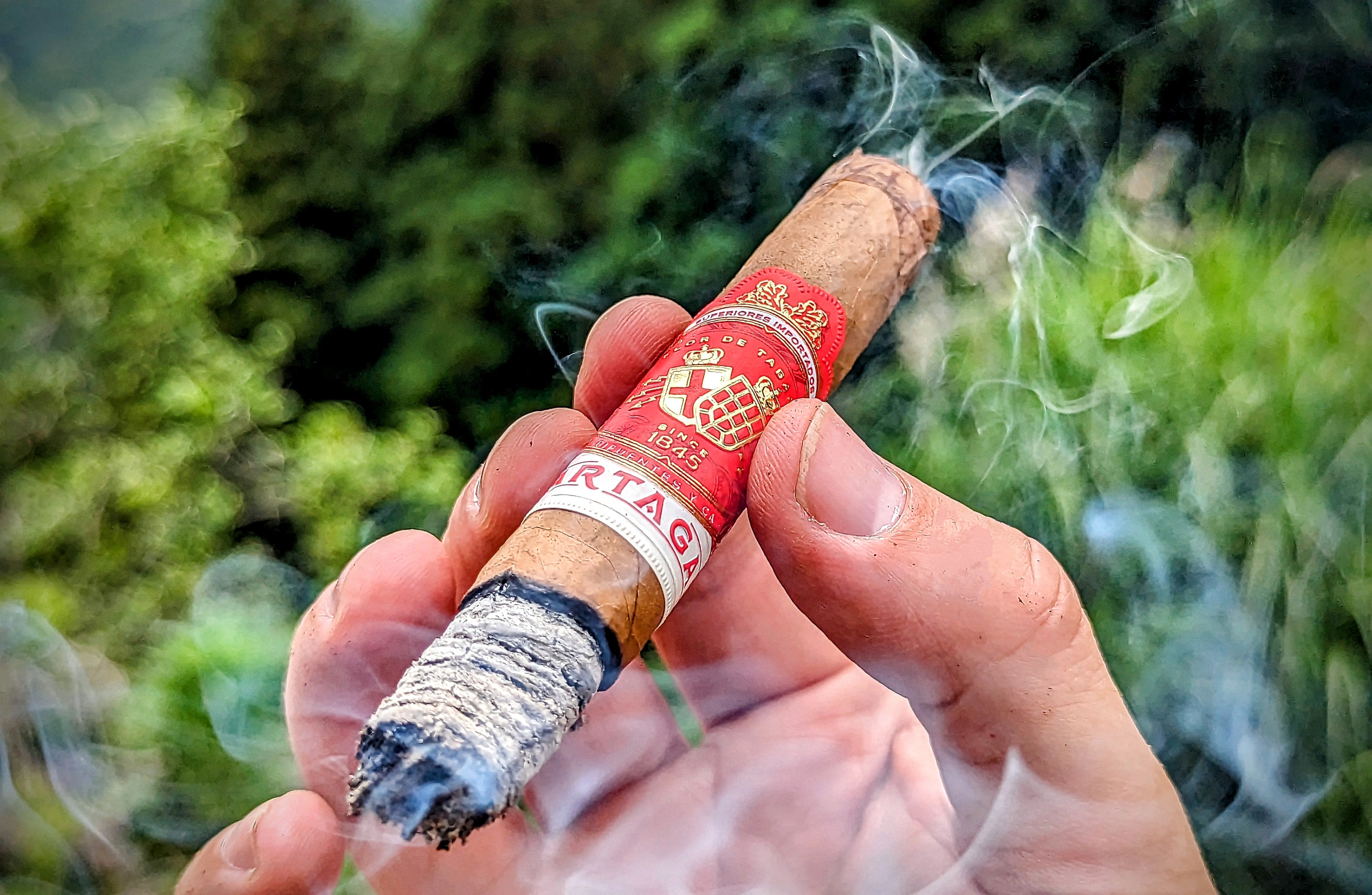 Partagas "Cortado" Review: Taking Shade-Grown to a Whole New Level ...